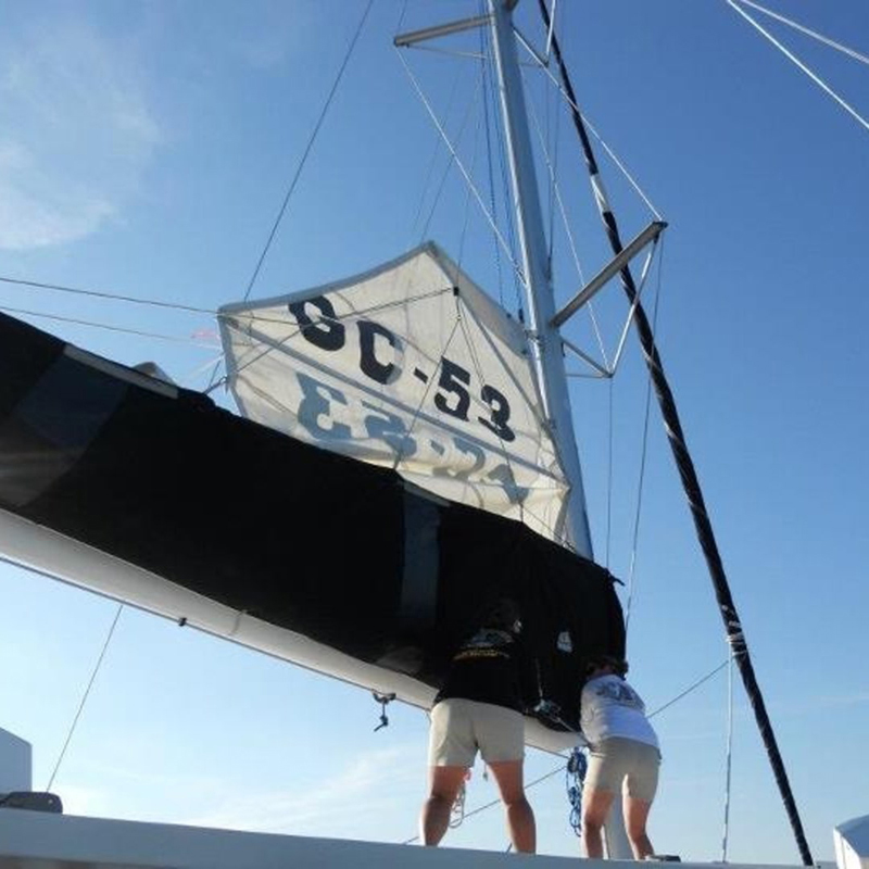 Learn a new language! - Sail Wild Hearts