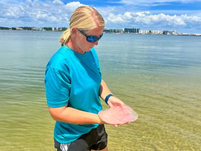 Jellies on Deck: Types, Tips, and Sting Treatments for Jellyfish Season ...
